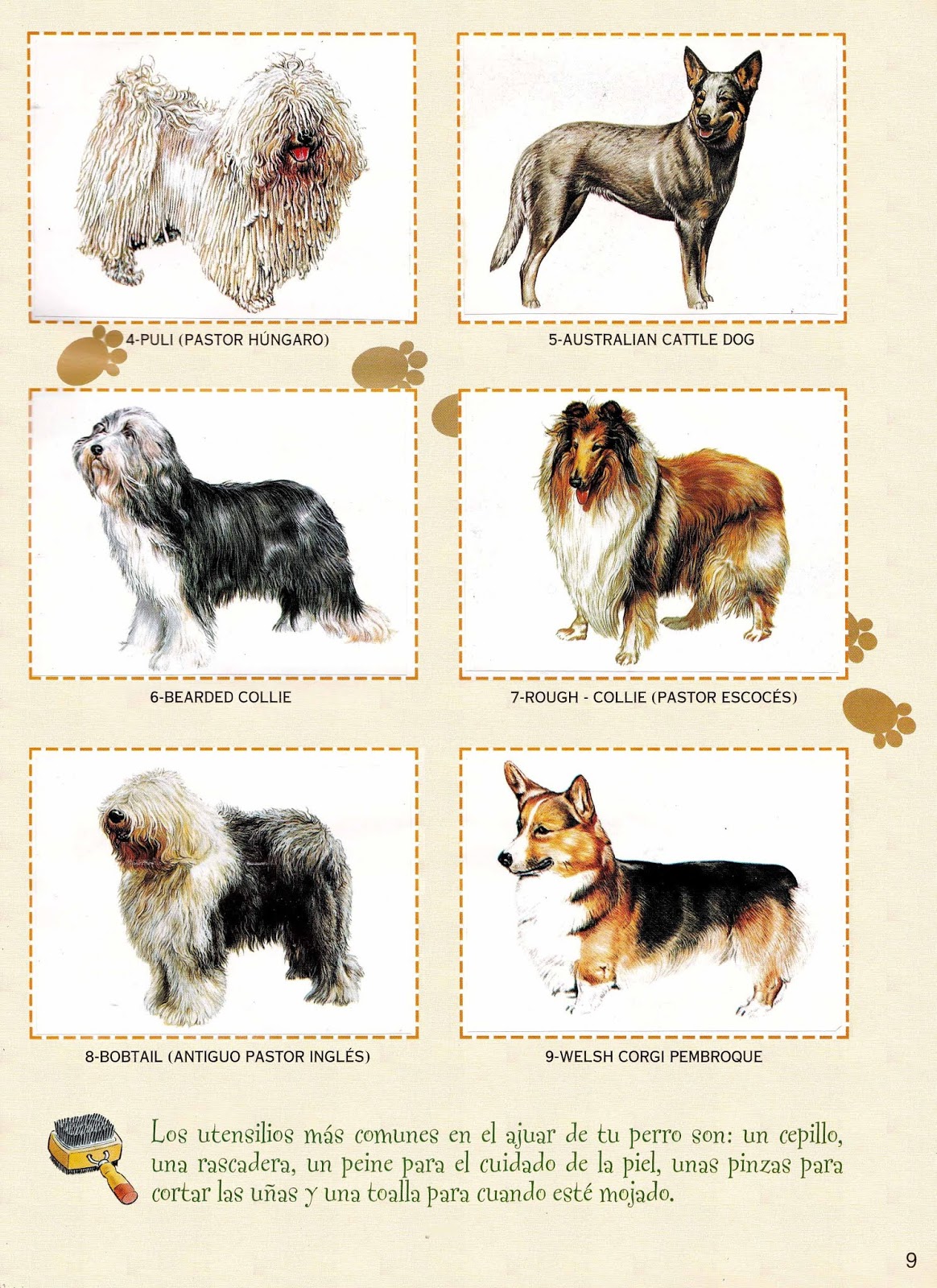 PERROS Y GATOS FAMOSOS: CIUDADANO CAN.