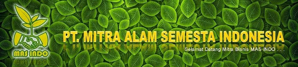 PT Mitra Alam Semesta Indonesia: Profil Perusahaan