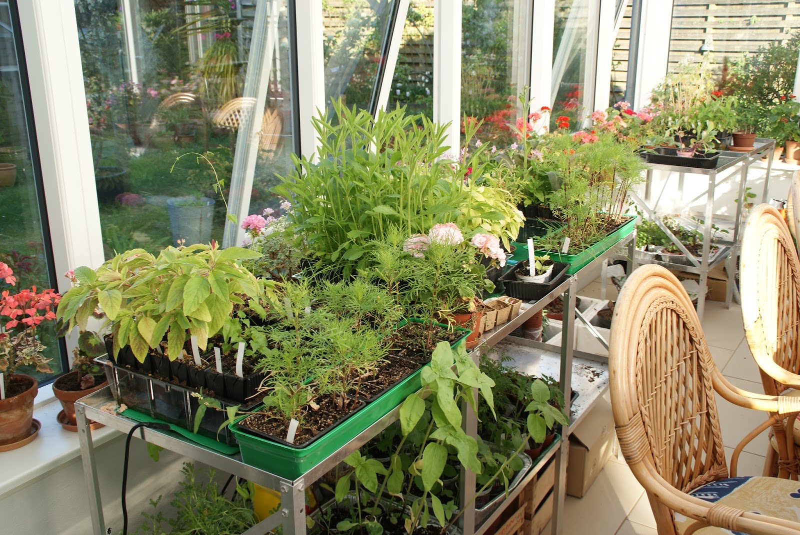 Birgitte på nettet: Florama.dk og gartneriet Lillienlund samt ...