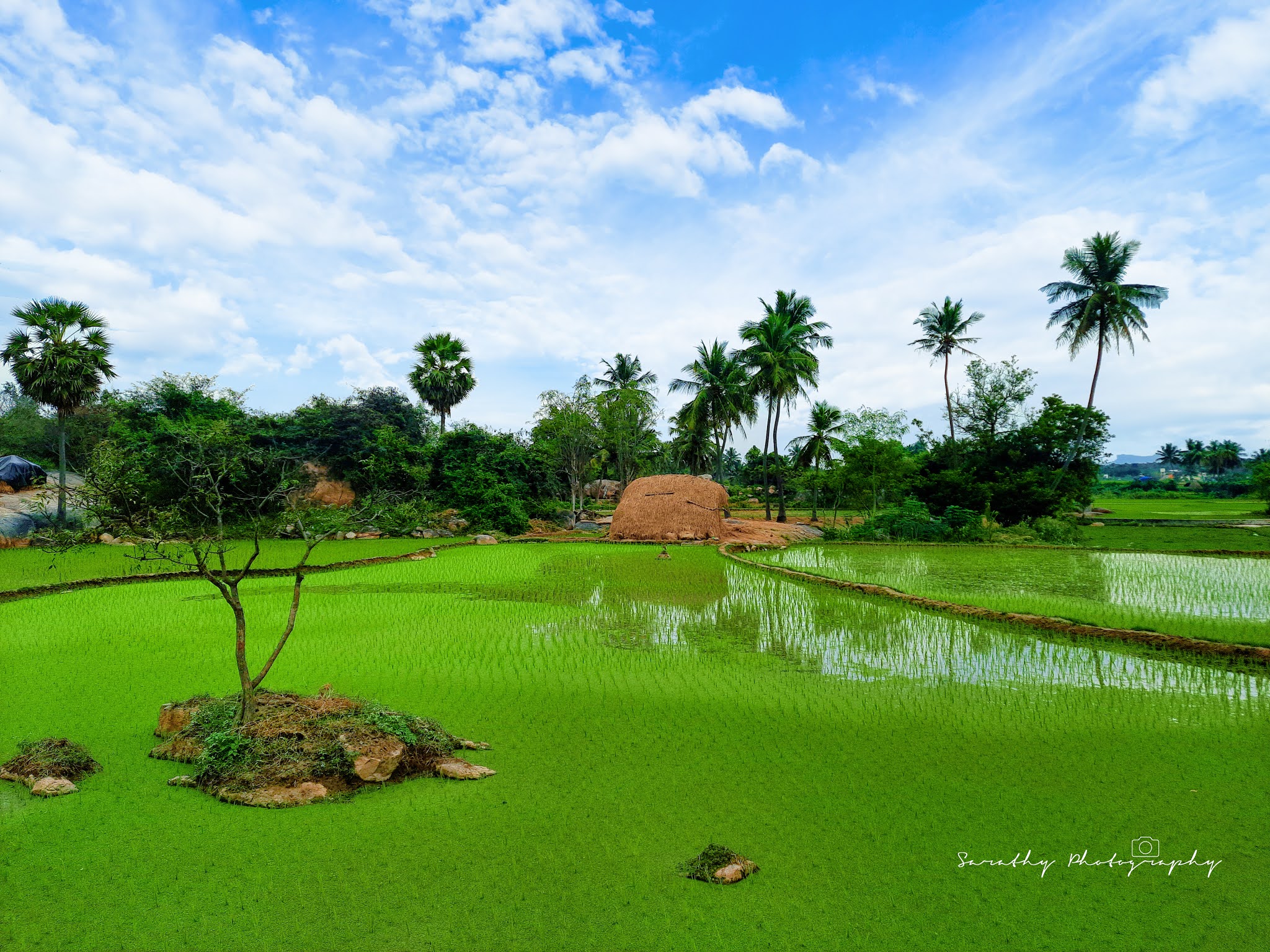 The Ravishing Rayakottai fort and Hidden Dam waterfalls