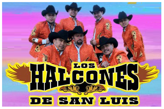 Bandas y Grupos Musicales: Los Halcones de San Luis