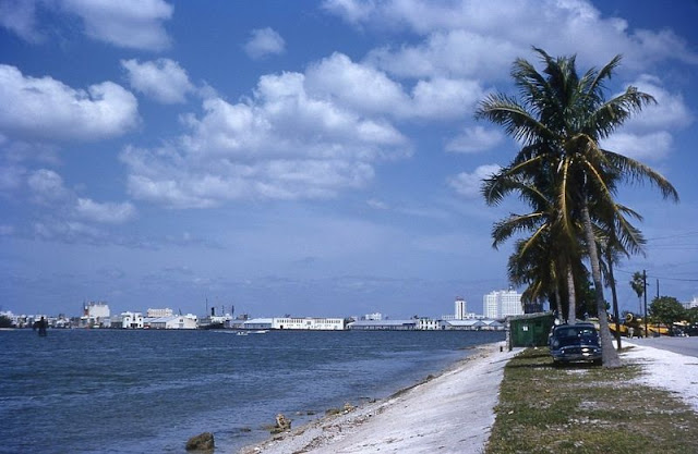 40 Fascinating Color Photos Capture Street Scenes of Miami & Miami ...