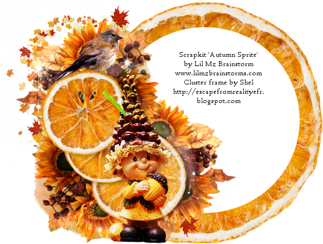 Escape From Reality Blog: FTU 'Autumn Sprite' Cluster Frames LMB