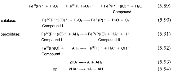 Biology Note: CATALASE AND PEROXIDASE Mechanism