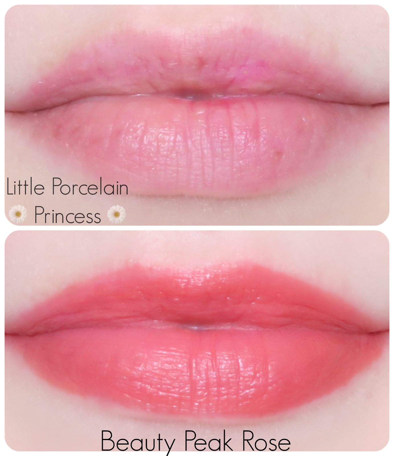 Little Porcelain Princess: Review: Peripera Peri's Ink The Velvet (SS17 ...