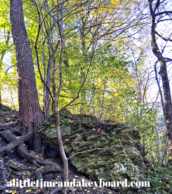 A Little Time and a Keyboard: Hiking the Devil's Staircase Segment of ...