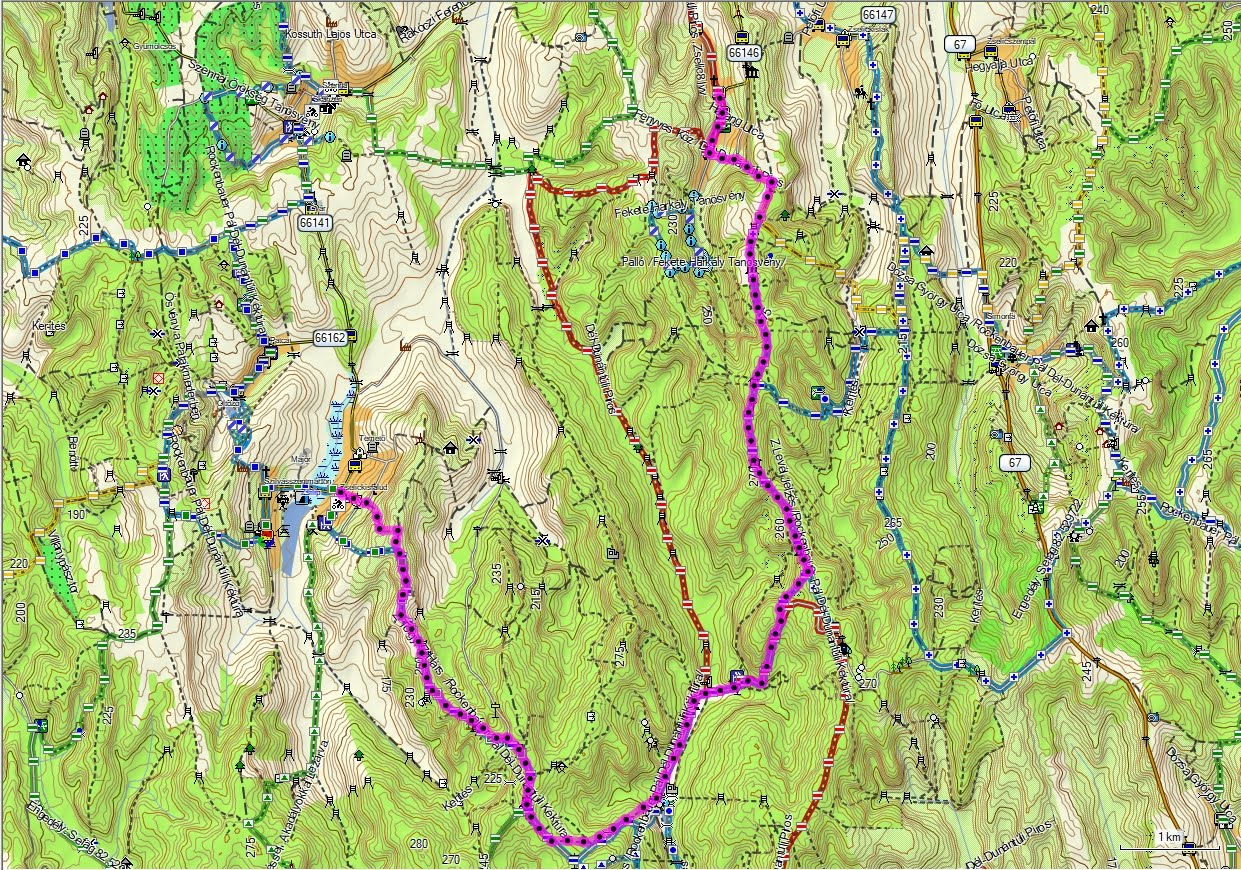 Túráim: Zselic Turistája 7.