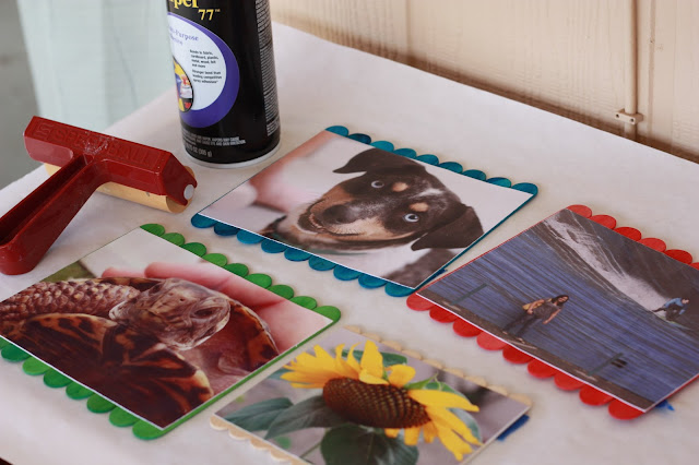 PaperTurtle: Popsicle Stick Puzzles ~ DIY