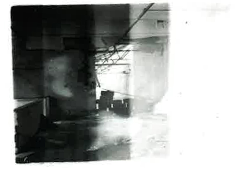 Lauren Carr: Dark Room Experiments.