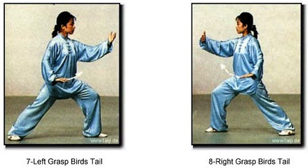 Travel To Health: Tai Chi Chuan Step-by-Step Instructions (3/8)
