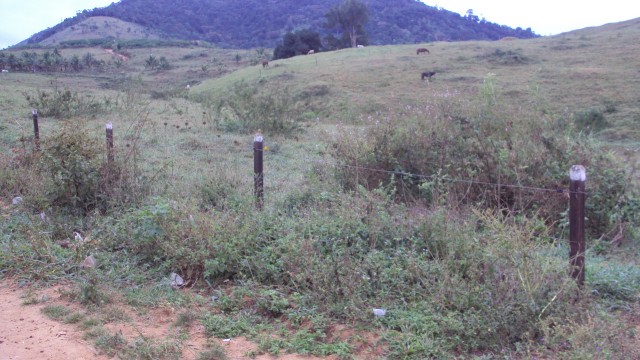 paisagens naturais de itagi-ba | Itagi-bahia