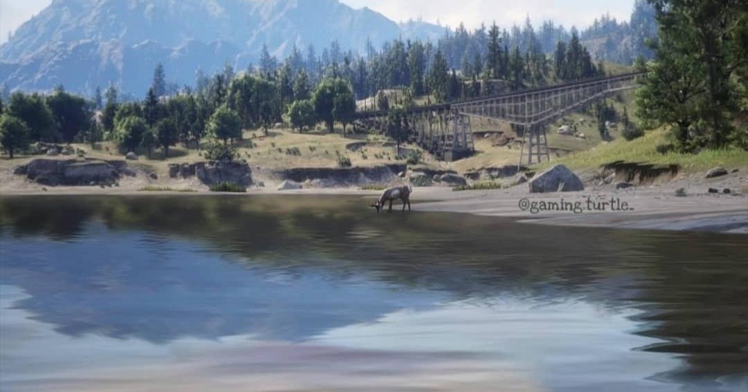 VPVibrancy: Red Dead Redemption 2: Gaming Turtle