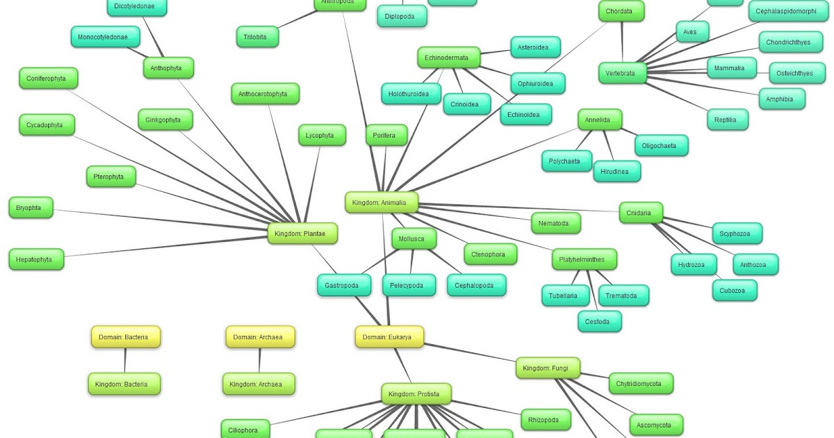 Warner Smith: Web 2.0 Resources Provide Teachers Improved Tools to ...