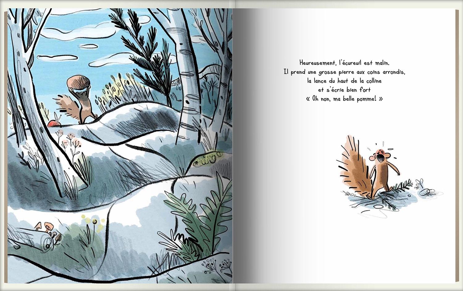 PIERRE QUI ROULE/ CORINNE BOUTRY ET ILLUSTRE PAR ANNE VILLENEUVE