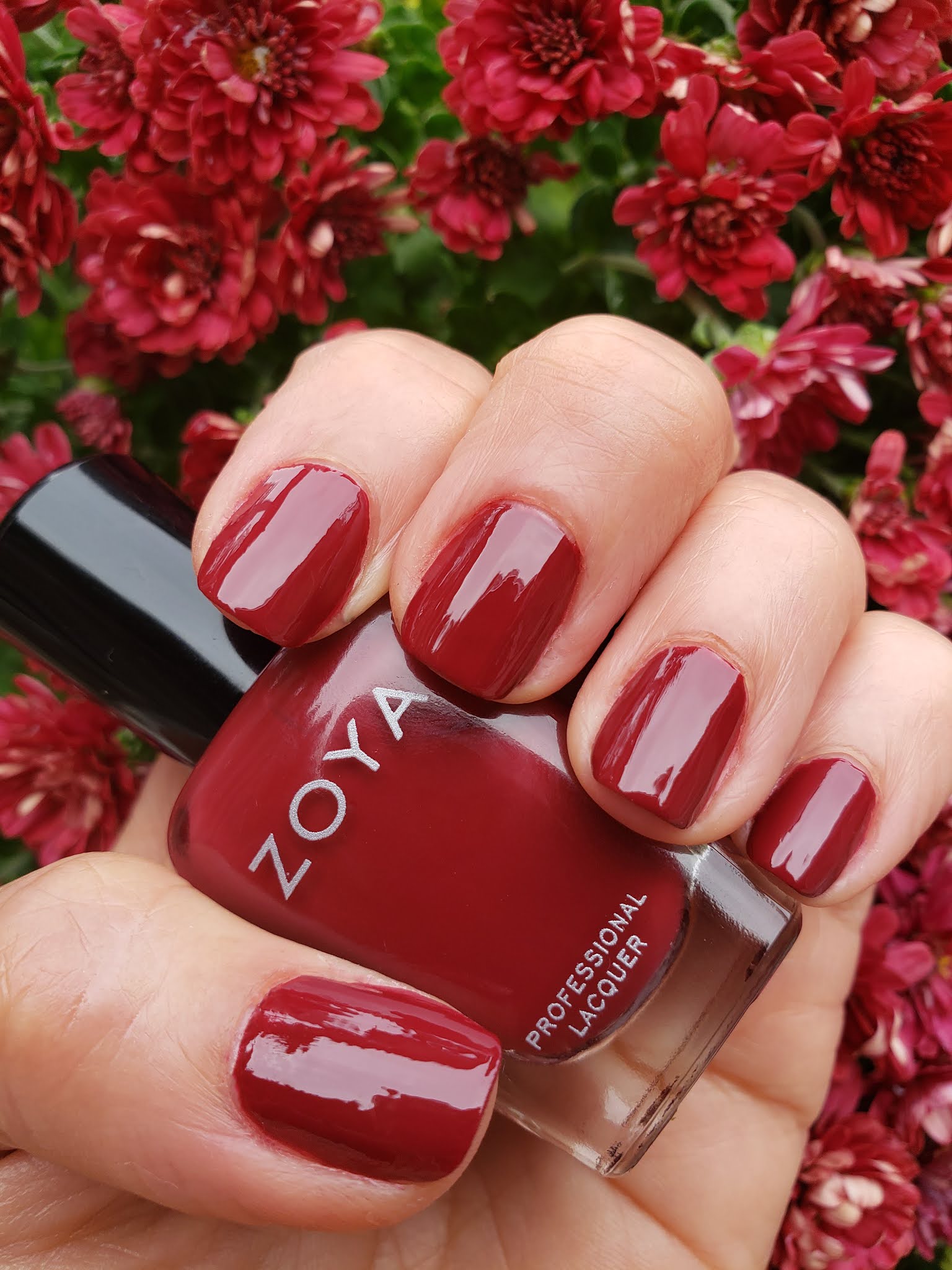 Zoya Rochelle Swatch