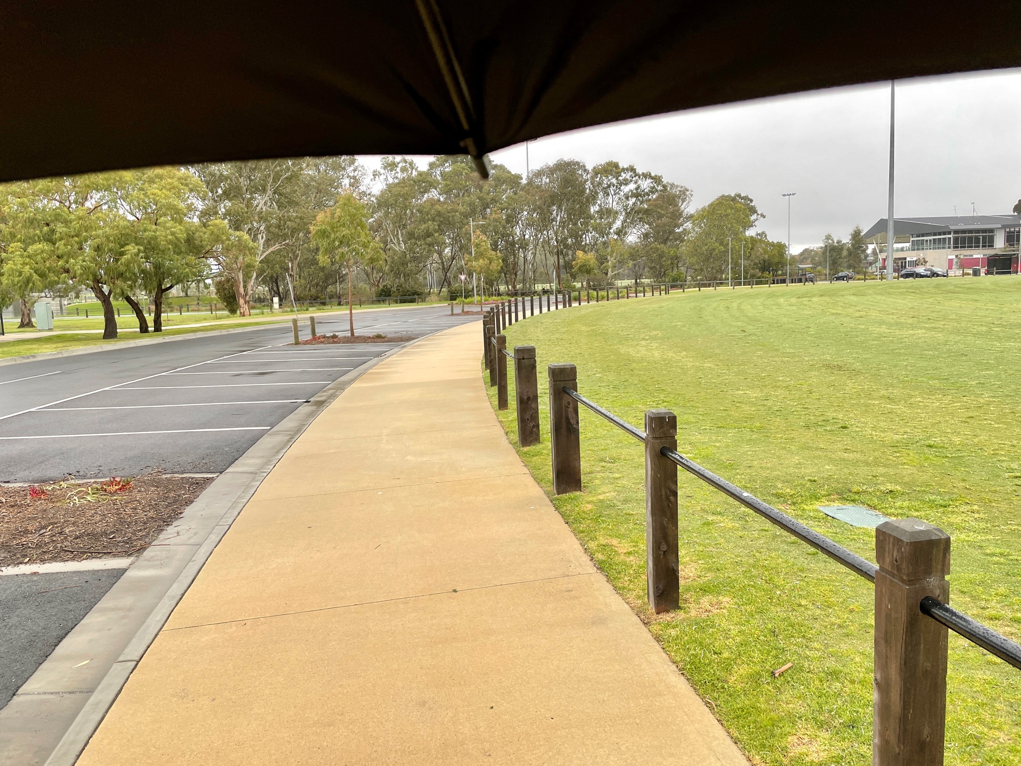 Goin' Feral One Day At A Time: Tatterson Park Circuit Walk - October 2021