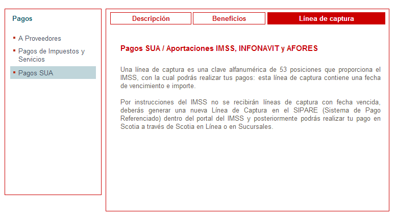 SERVICIOS INTEGRALES MARVI: Sistema de Pago Referenciado del IMSS (SIPARE)