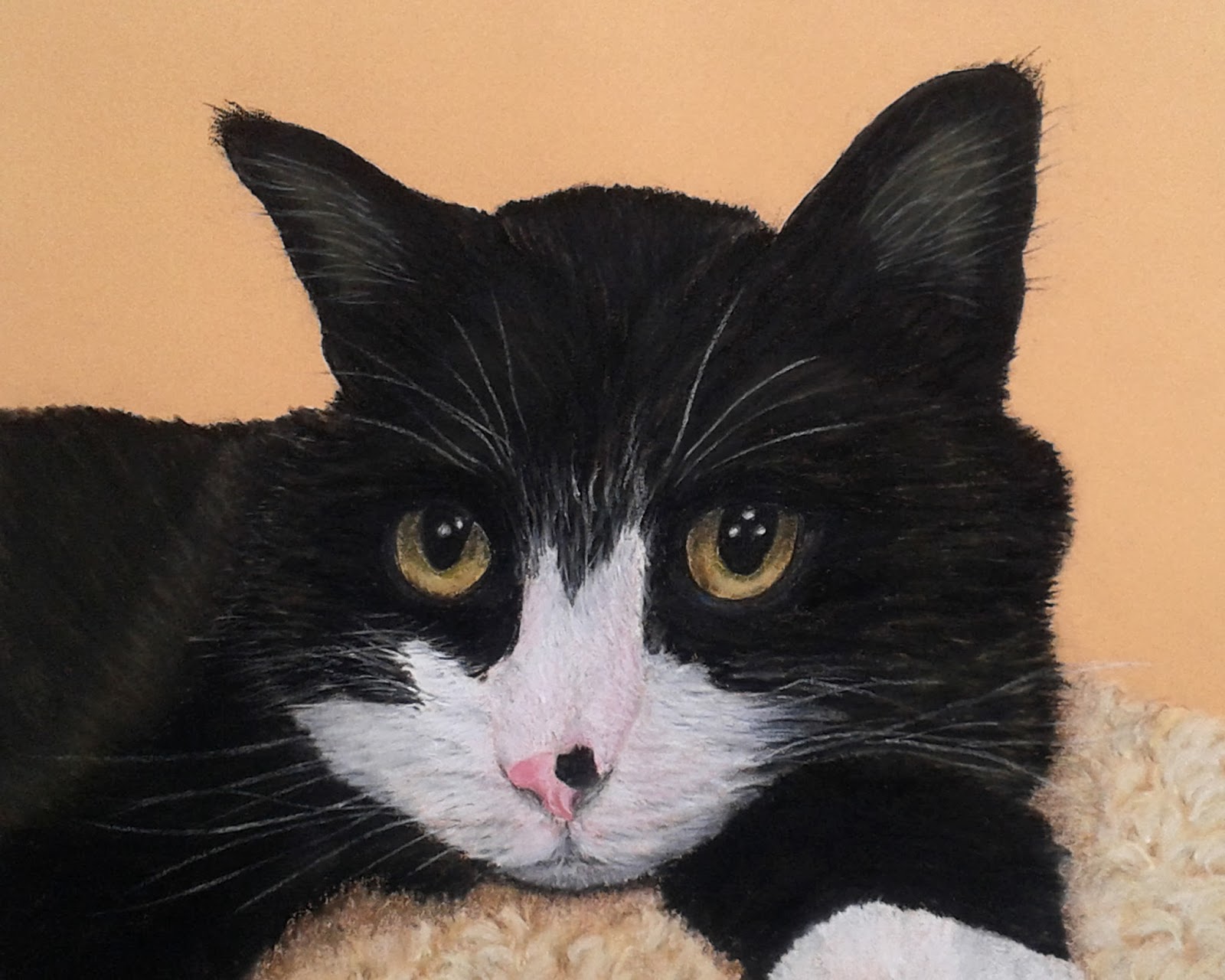 Sarahs Pet Portraits and Art Work: Cats Pastel Paintings
