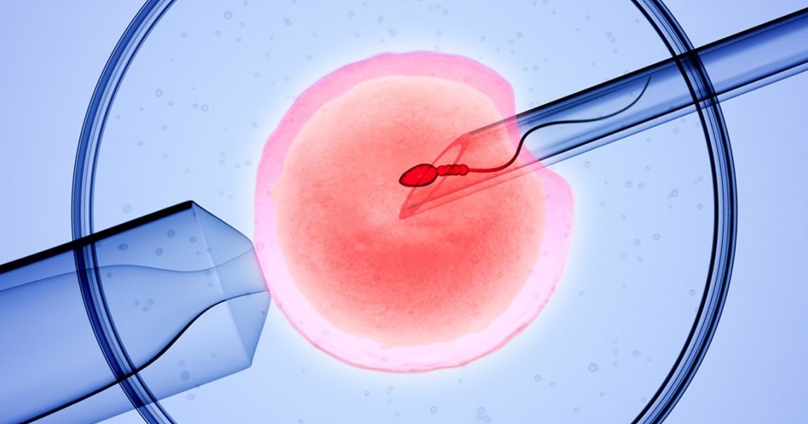 Life IVF Center: Tips to Help You through Your IVF Cycle
