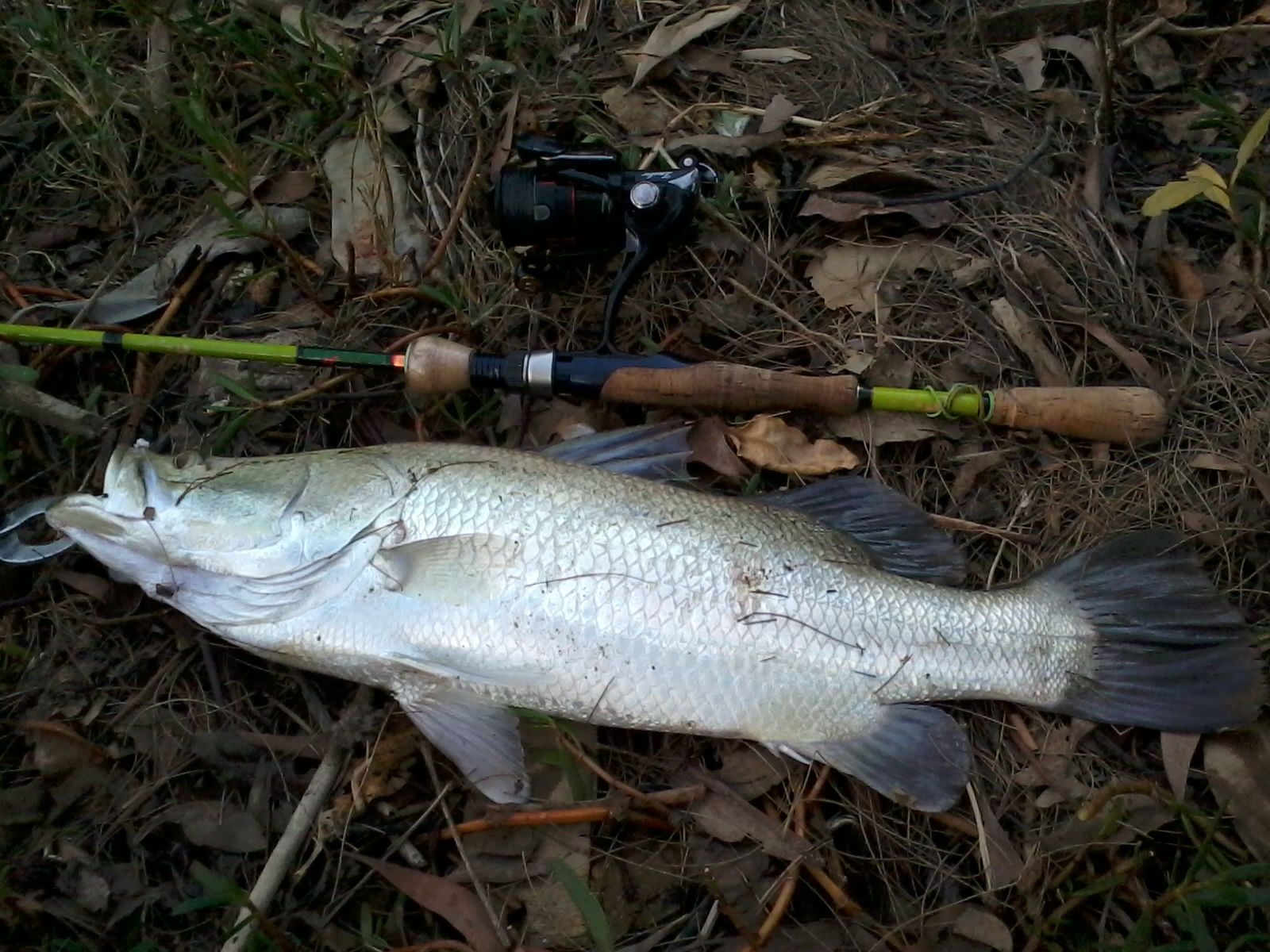 MEMANCING DI TELUK SARI, ENDAU, MERSING: SEWA BOT MEMANCING DI TELUK ...