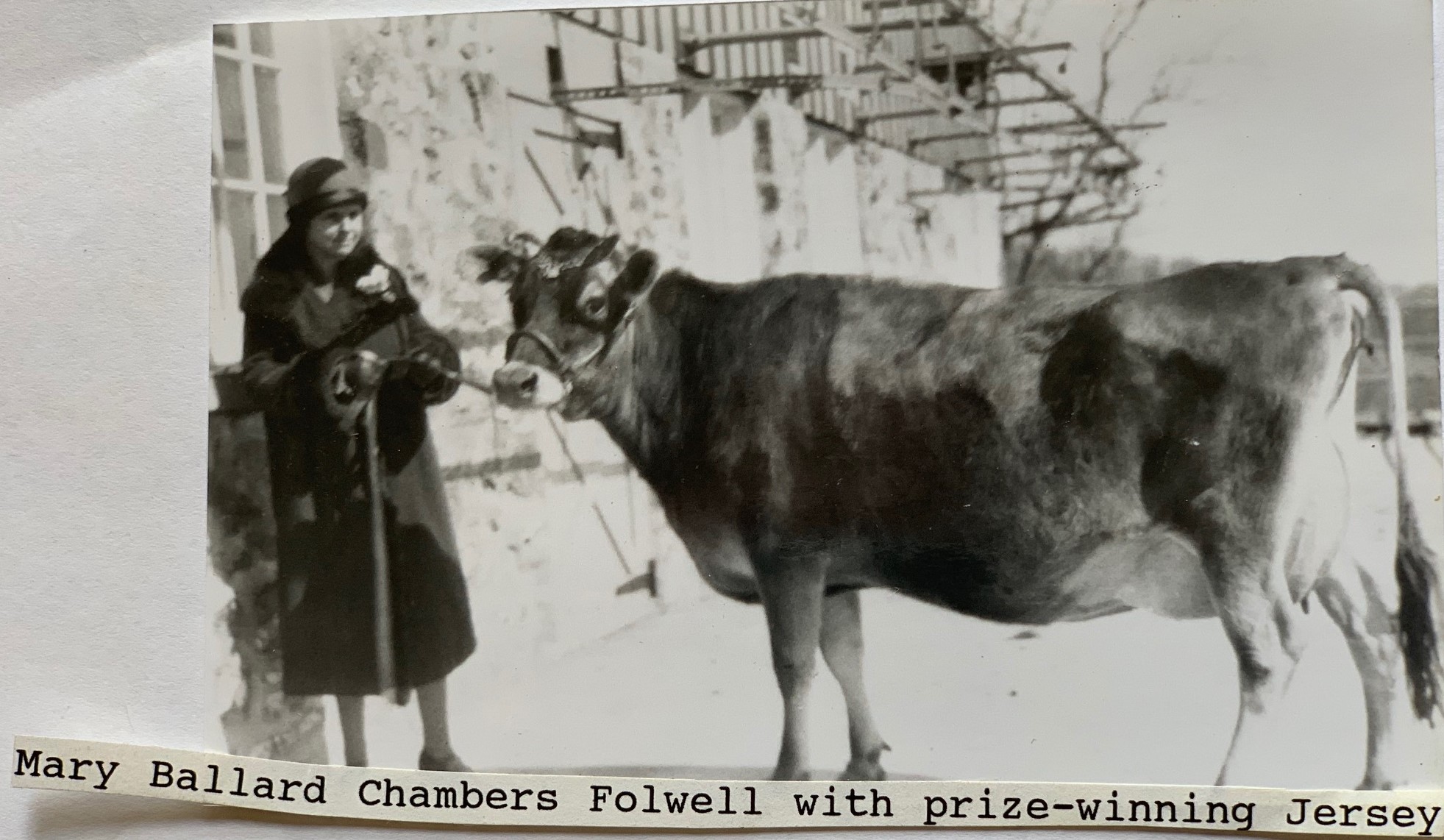 The Mill Creek Hundred History Blog: Restoring the Chambers Family Farm ...