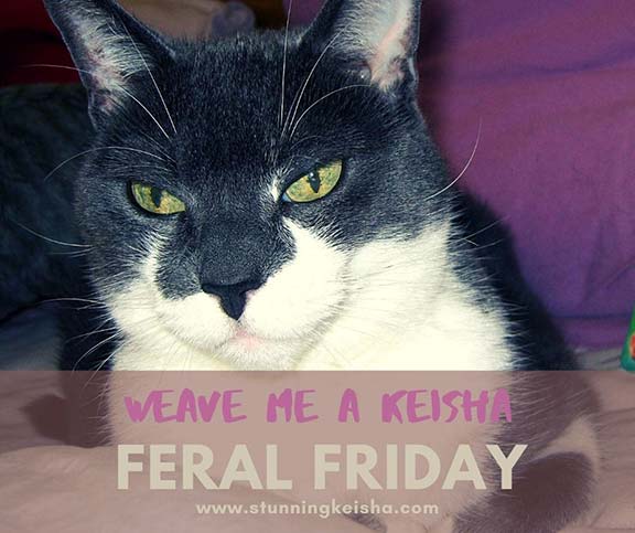 Feral Friday: Weave Me a Keisha | Stunning Keisha