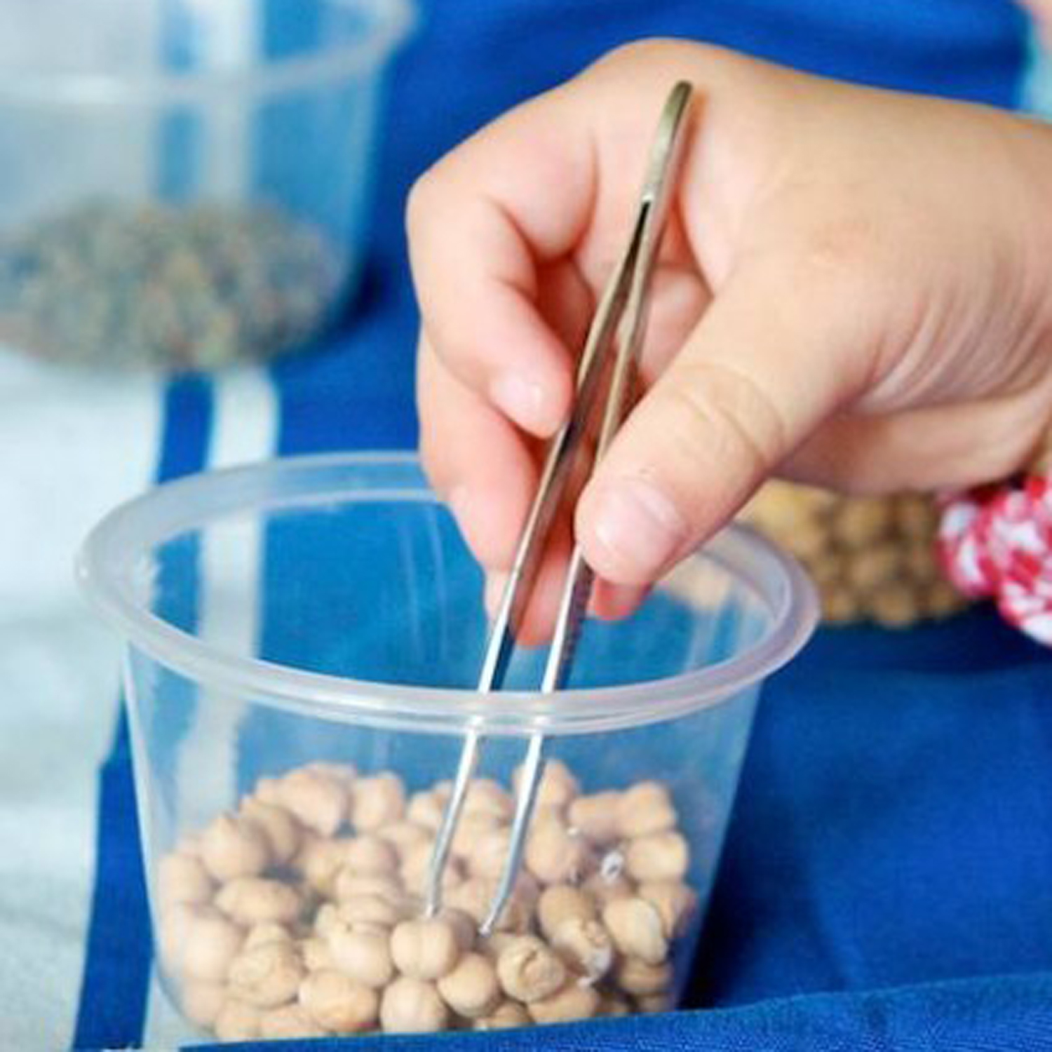 Travel Nature with Music : What would you use your tweezers for? Remove ...