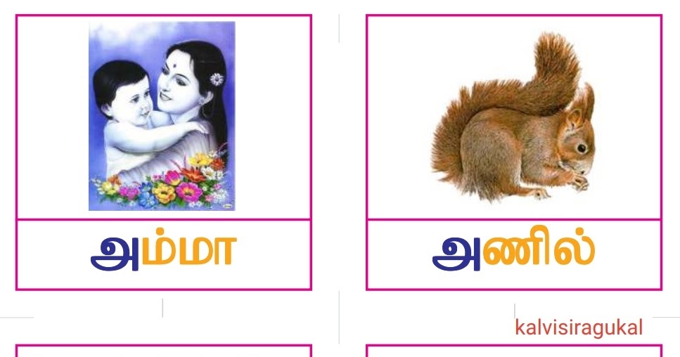 Tamil Vowel Letters Flash Cards Kalvisiragu Study Materials tamil-vowel-letters-flash-cards-kalvisiragu-study-materials