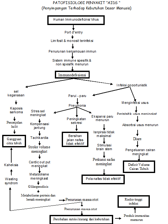 PATOFLOW: patoflow aids