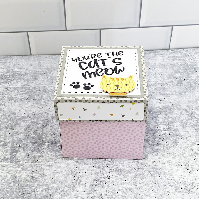 My Happy Place: Lori Whitlock | Cat & Dog Explosion Boxes