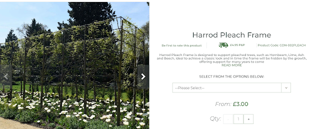 Three London Plane Tree 'Bloodgood' Trees Planted - Pleaching Planned ...