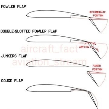 𝐓𝐲𝐩𝐞𝐬 𝐨𝐟 𝐅𝐥𝐚𝐩𝐬