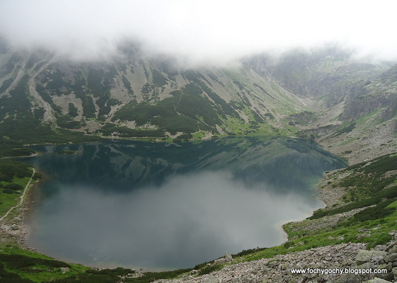 Kulinarne fochy Gochy