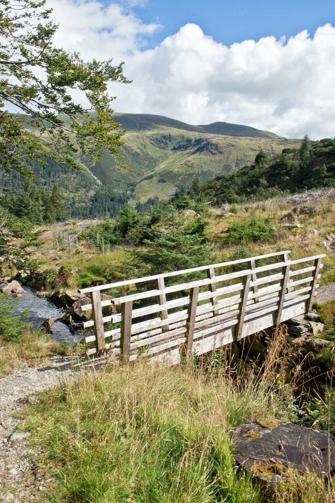 Wigtwizzle - Norman Smith's Travel Blog.: Harrop Tarn and Thirlmere