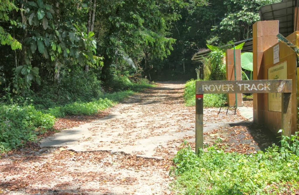 Forest Research Institute Malaysia (FRIM): Canopy Walkway