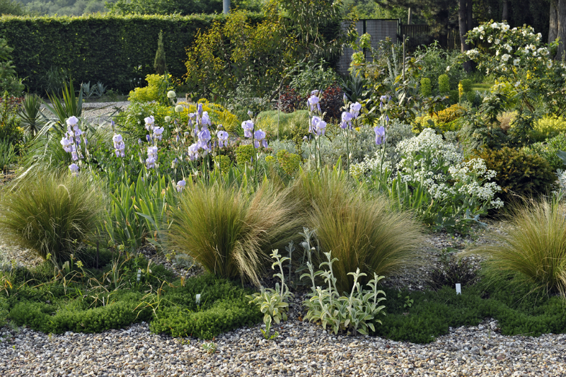 paradis express: Peter Janke