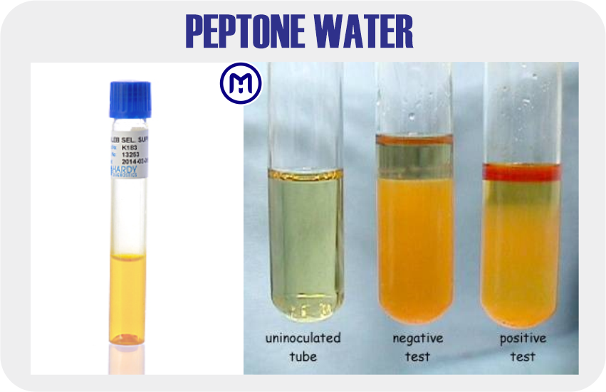 Peptone Water - Prinsip, Kegunaan, Komposisi, Cara Pembuatan dan ...