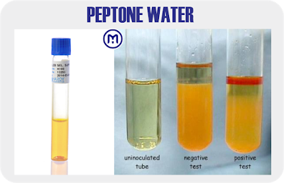 Peptone Water - Prinsip, Kegunaan, Komposisi, Cara Pembuatan dan ...