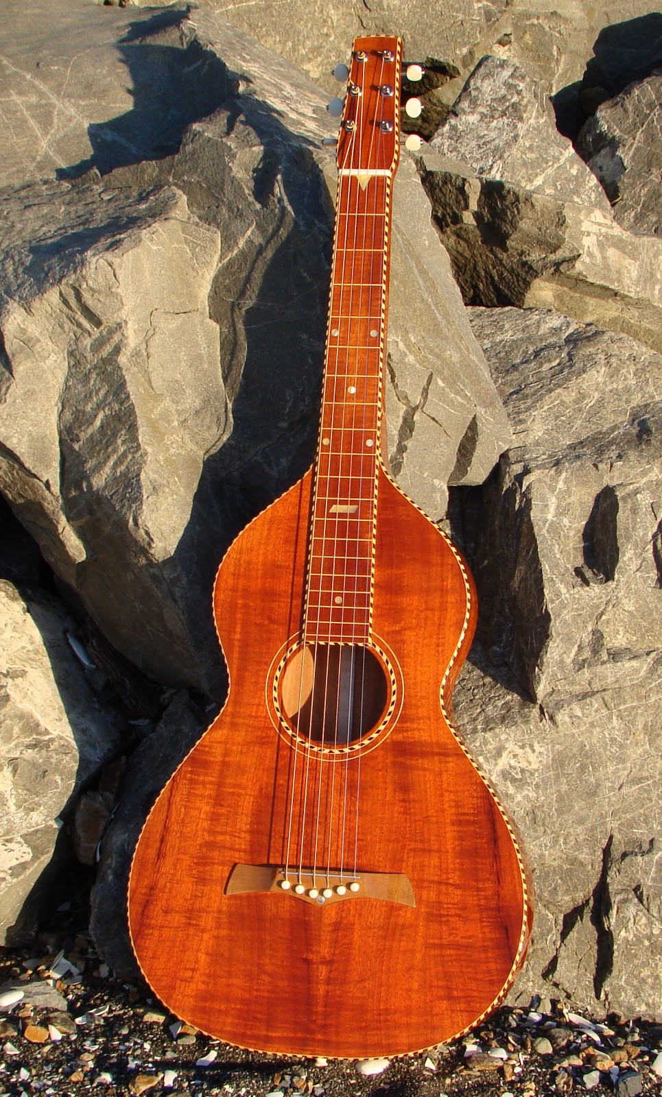 Tony Francis Instruments: Solid-neck model