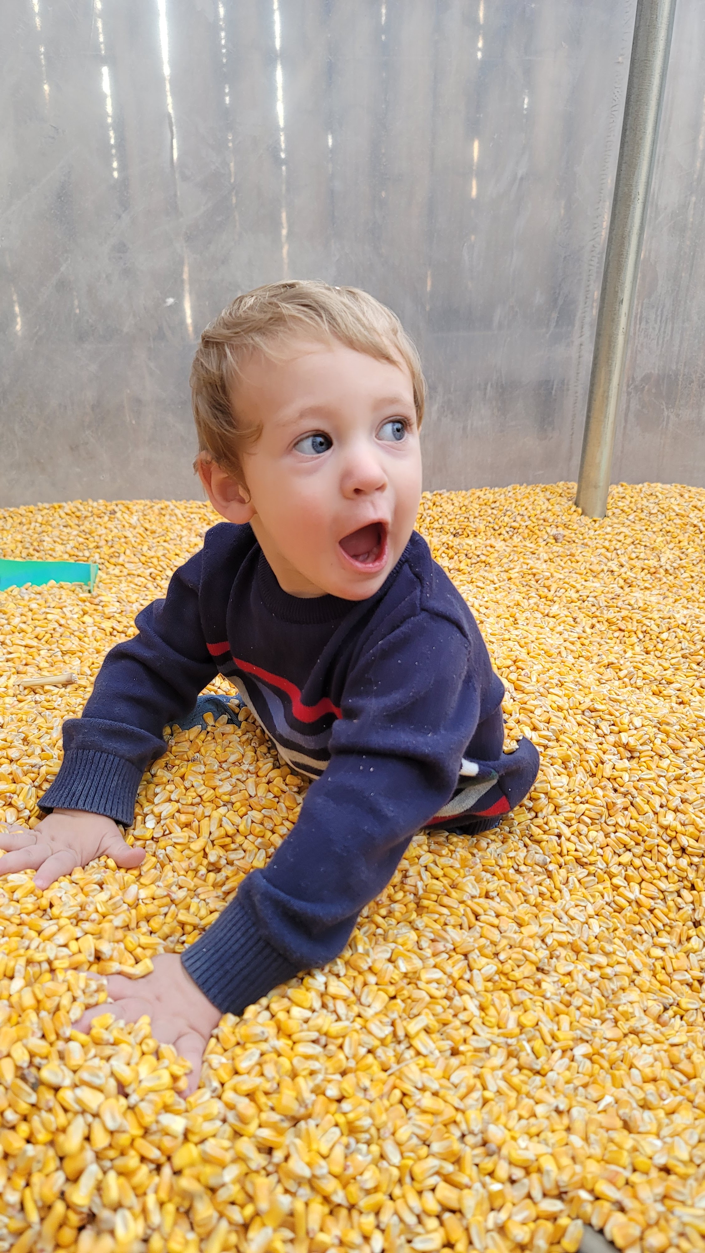 All About Seth Fall Festival all-about-seth-fall-festival