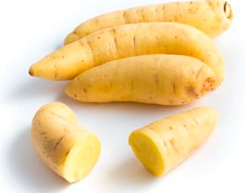 VOCÊ SABIA QUE O NOME BATATA BAROA SURGIU EM FRIBURGO?