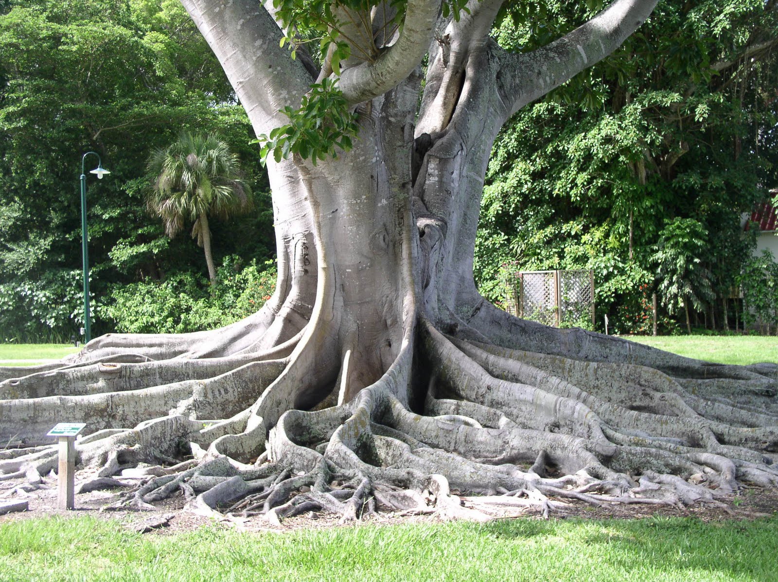 Walkabout with Becky: EDISON AND FORD WINTER ESTATES