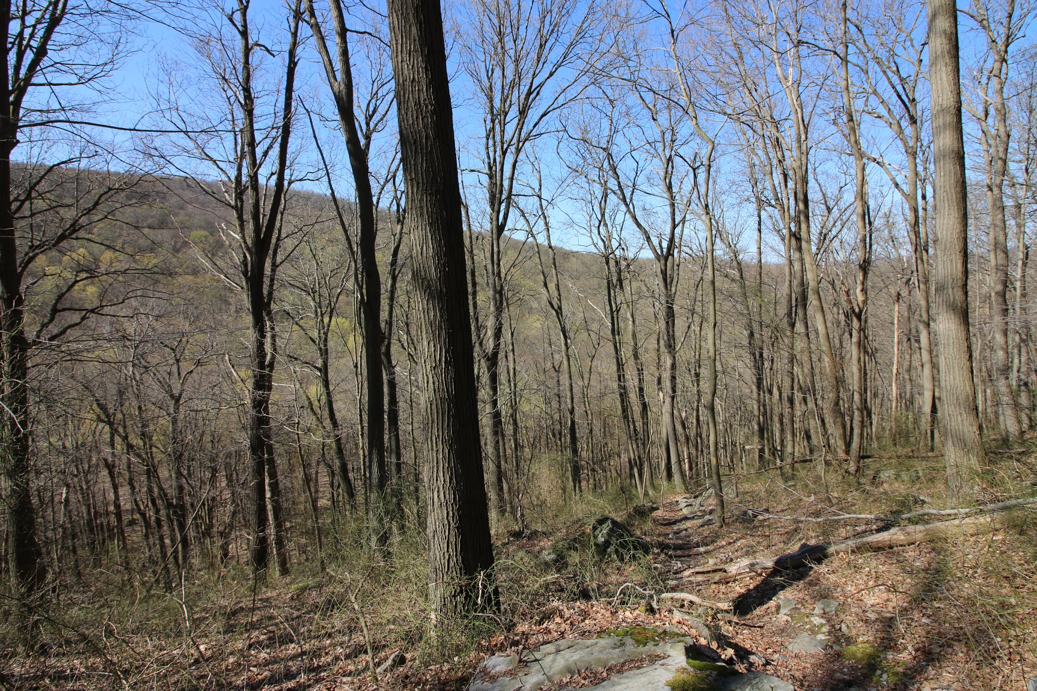 Roaring Run Natural Area Hiking Trails: Laurel Highlands, Forbes State ...