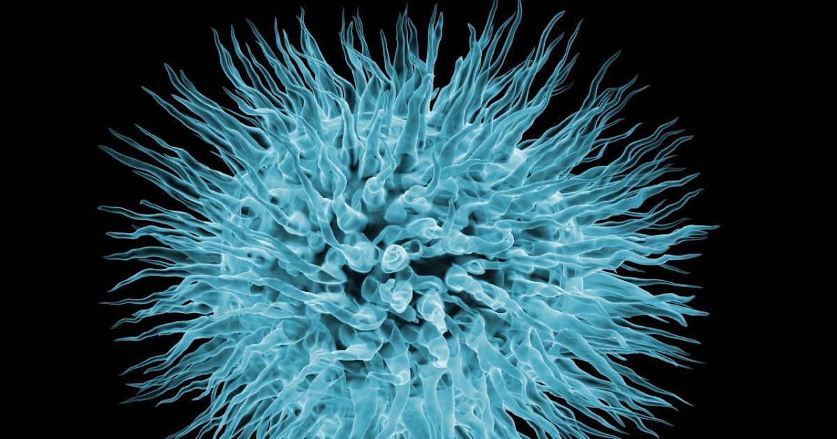 Entenda Um Pouco Mais: BBC - A Célula @:)