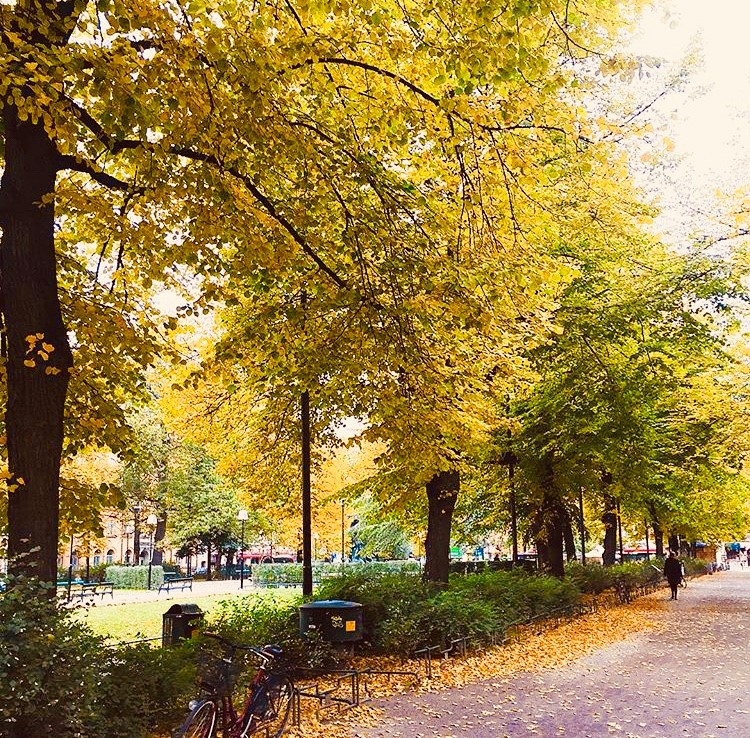 Autumn in Stockholm