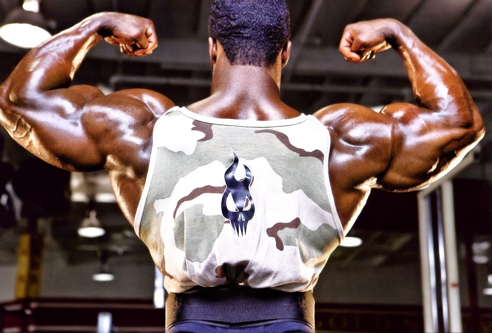 the beauty of male muscle: Brandon