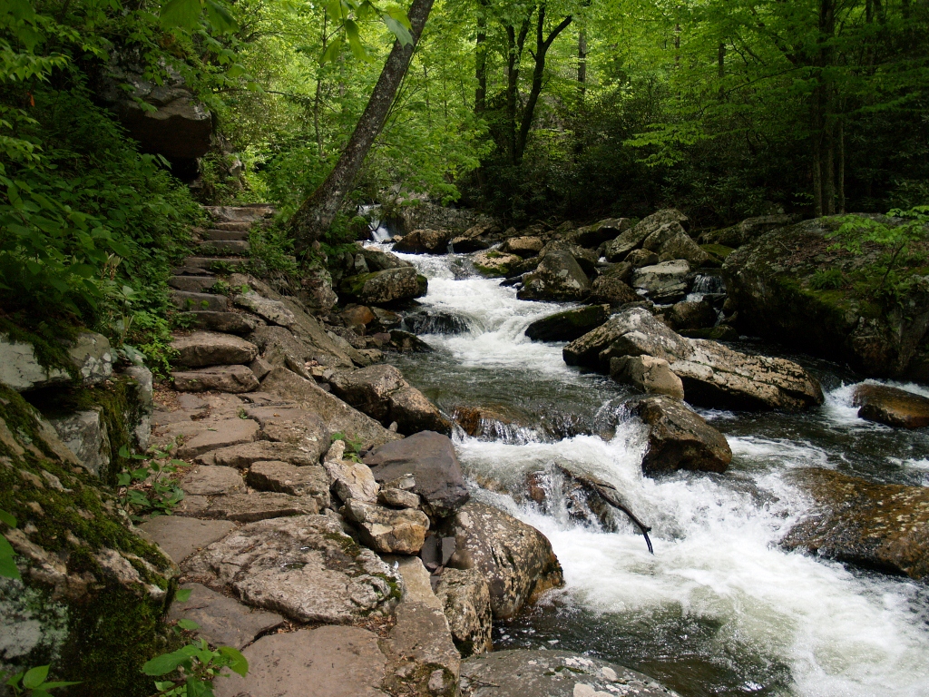 Open Air and Sunshine: Cascades Trail - a quintessential Virginia trail ...