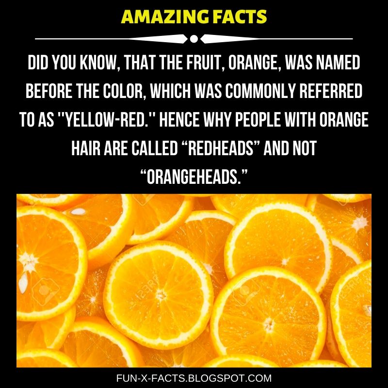 Which Came First: Orange the Color or Orange the Fruit? | Amazing WTF Facts