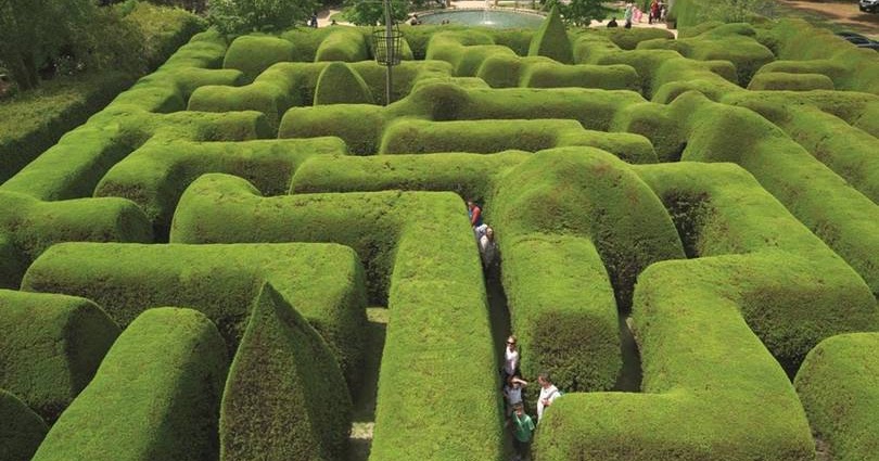 PAVAN MICKEY: Unusual hedge mazes in the world