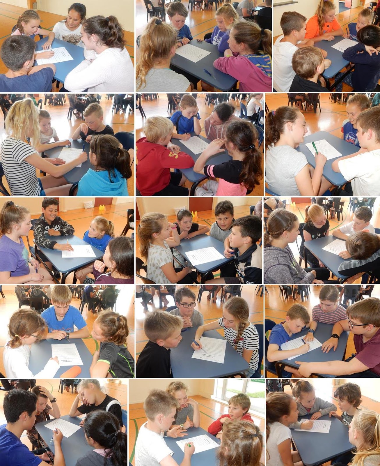 Room 8 - Halcombe School: 2017